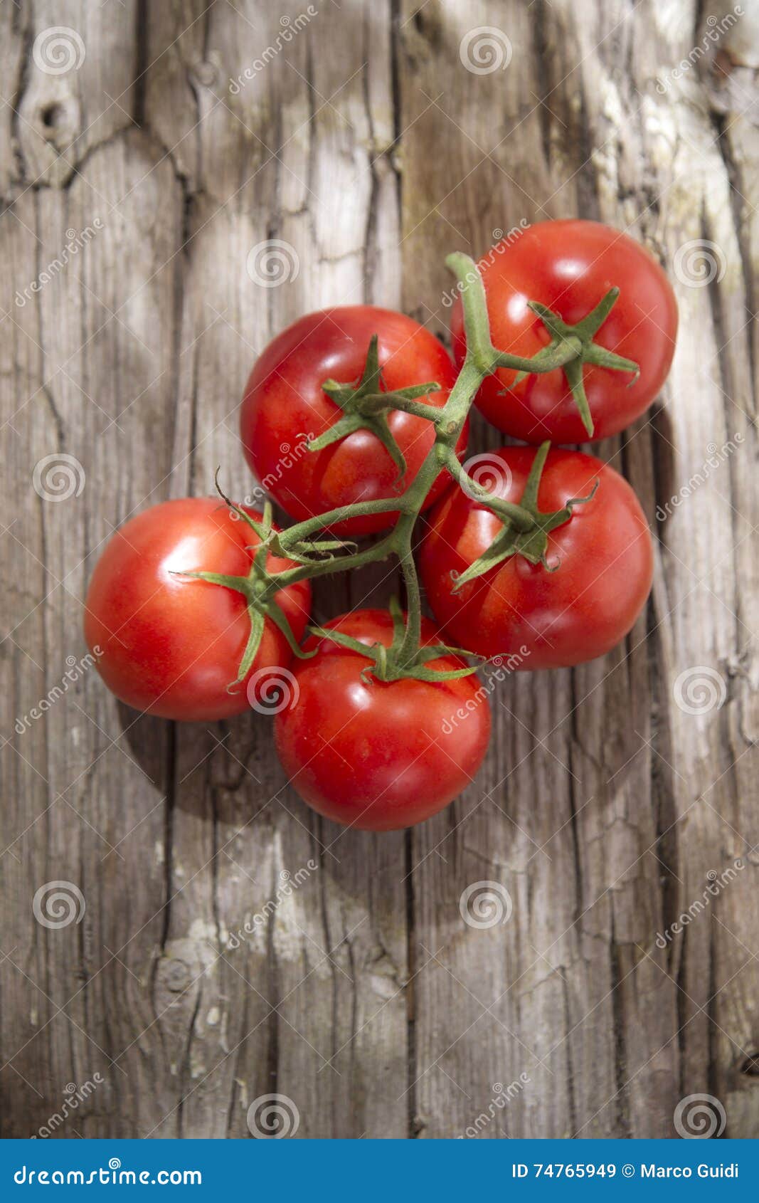 Smooth round tomatoes stock image. Image of food, canned - 74765949