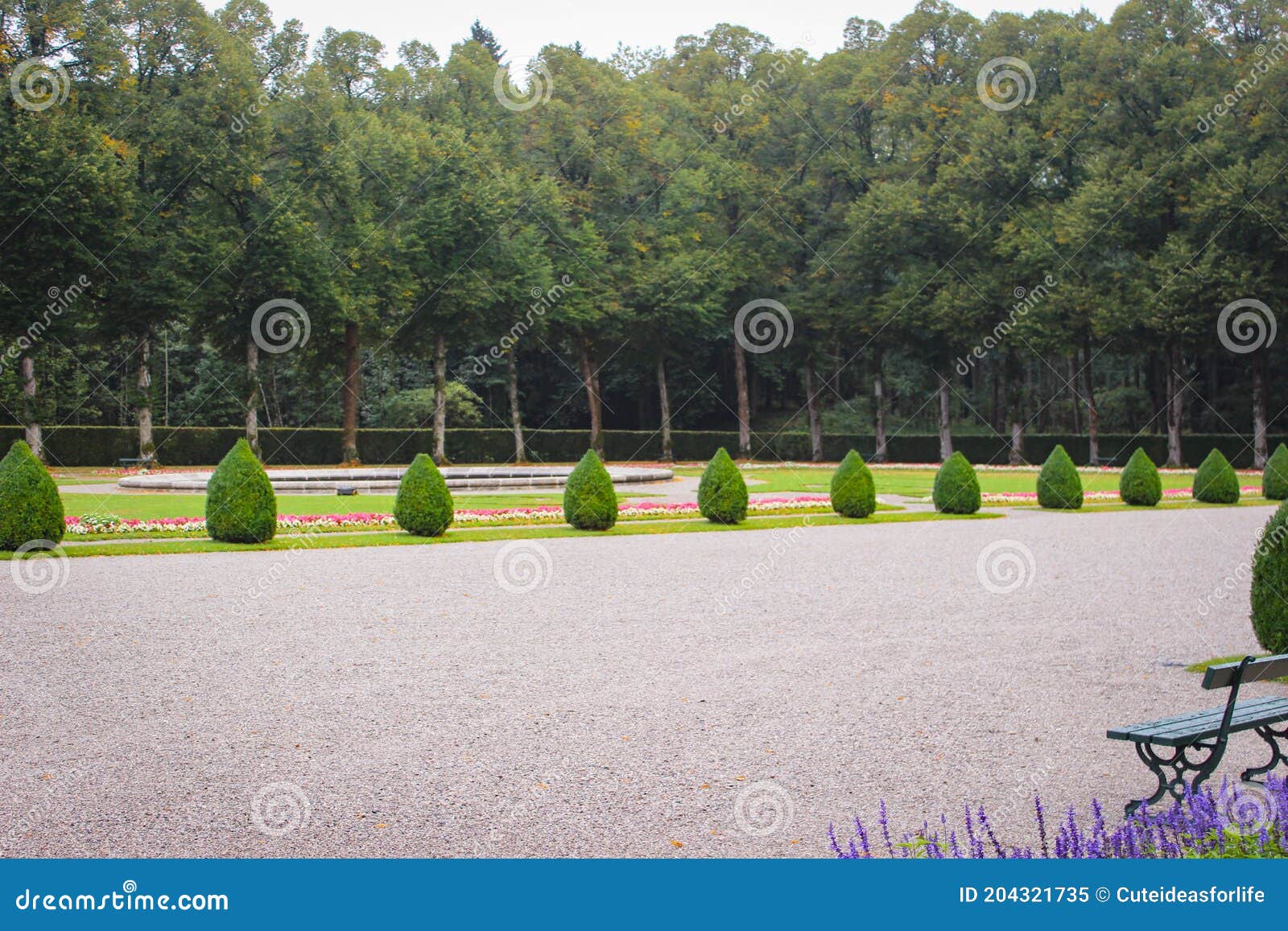 Smooth Rows of Cone-shaped Green Bushes in an Ancient Park Stock Image ...
