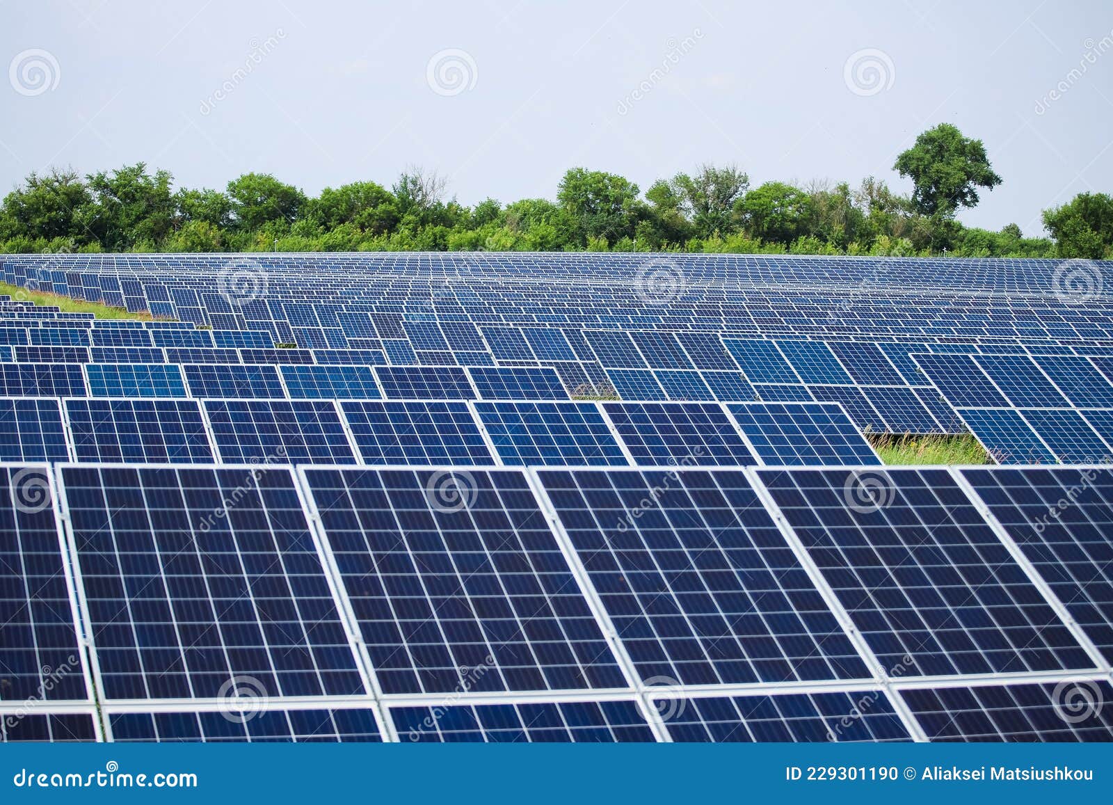 Smooth Rows of Solar Panels on the Background of Trees Stock Photo ...