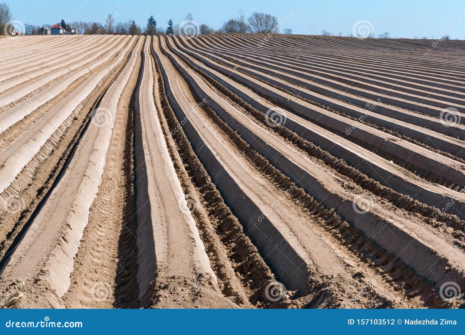 Ploughed Furrows in the Ground, Smooth the Ruts of Ploughed Land Stock ...