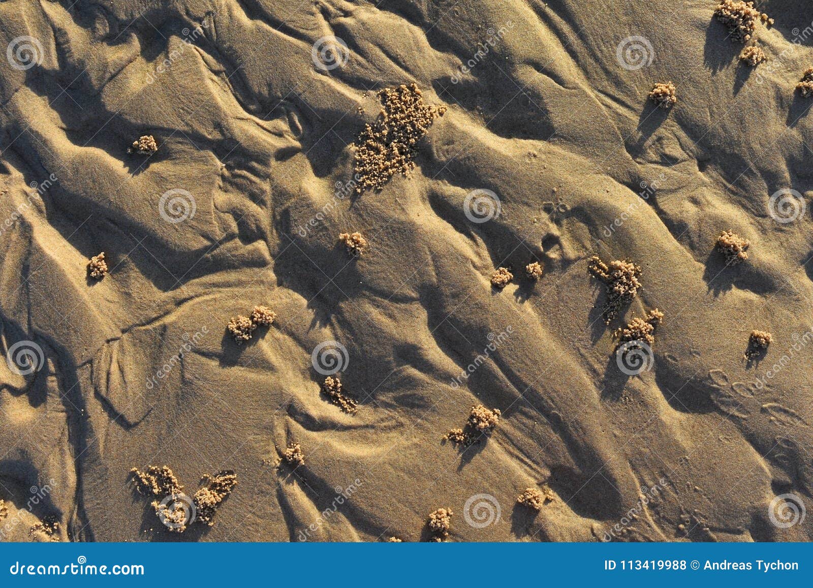 Smooth sand texture stock photo. Image of textured, coastal - 113419988