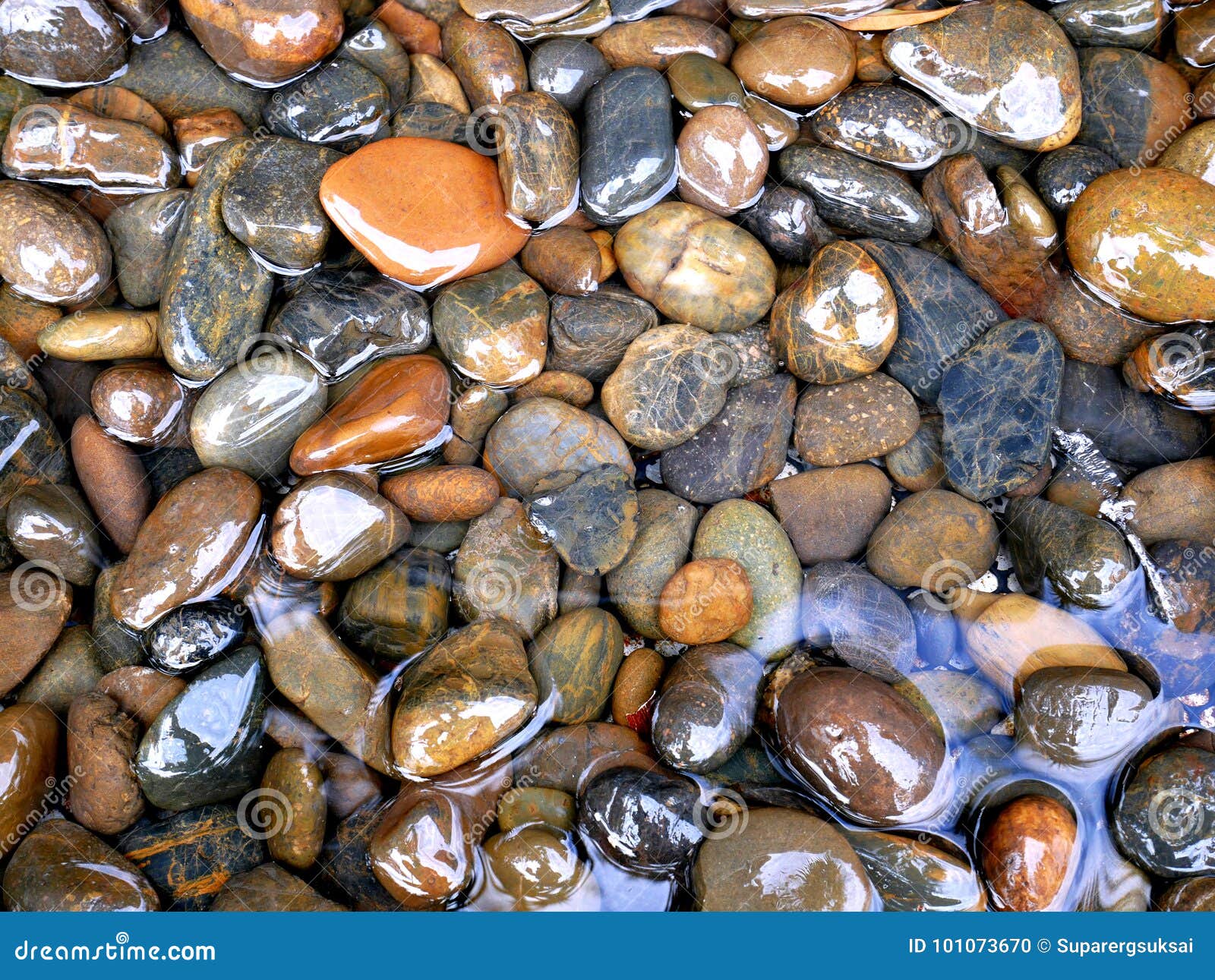 Smooth Stones in Water stock photo. Image of reflect - 101073670
