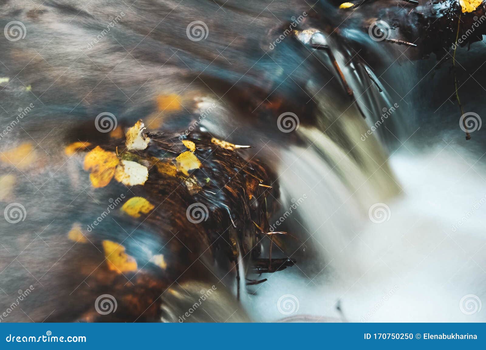 Smooth Stream Flowing Creek in the Autumn Forest Stock Photo - Image of ...