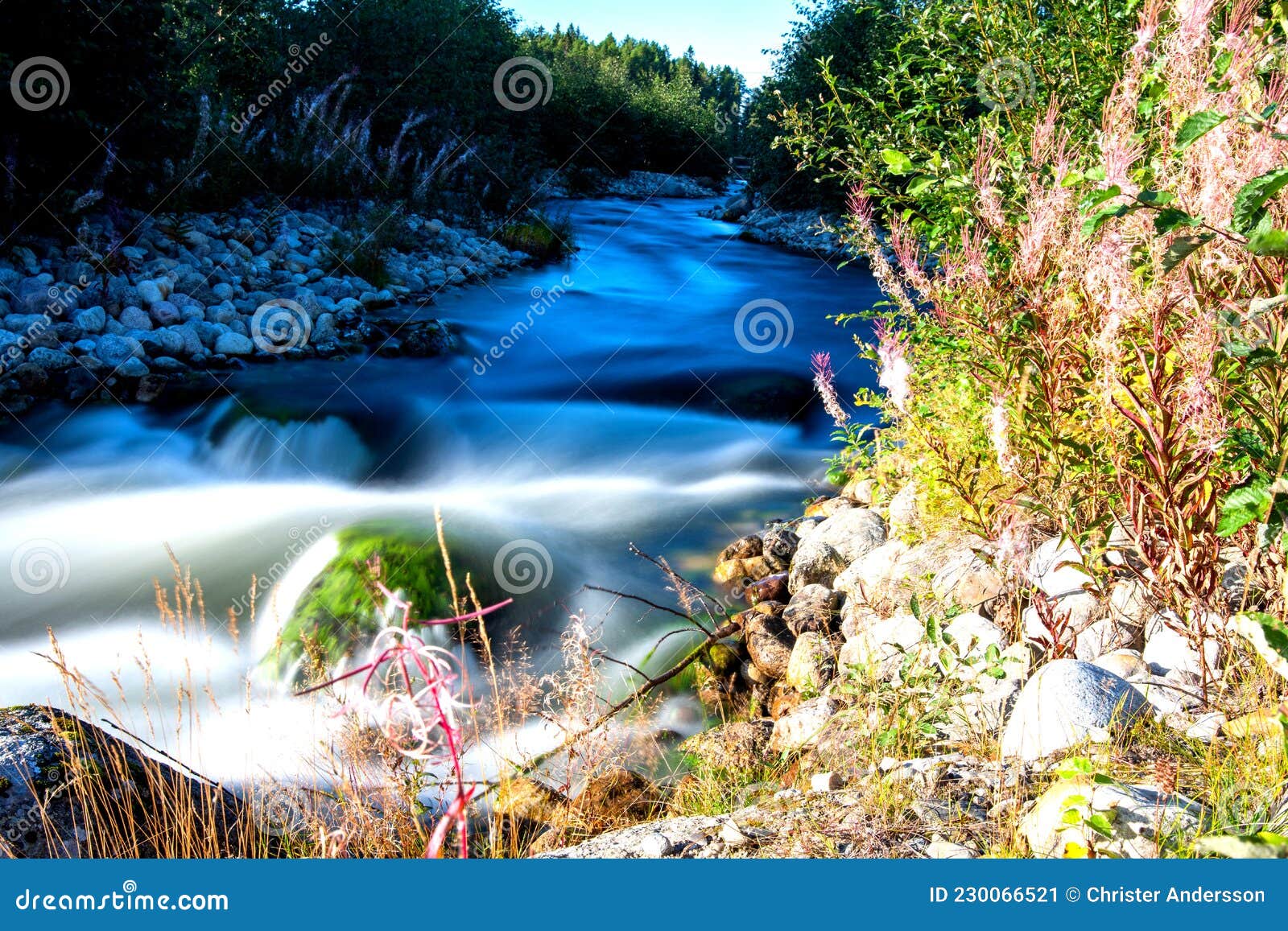 Smooth stream stock image. Image of woodland, water - 230066521
