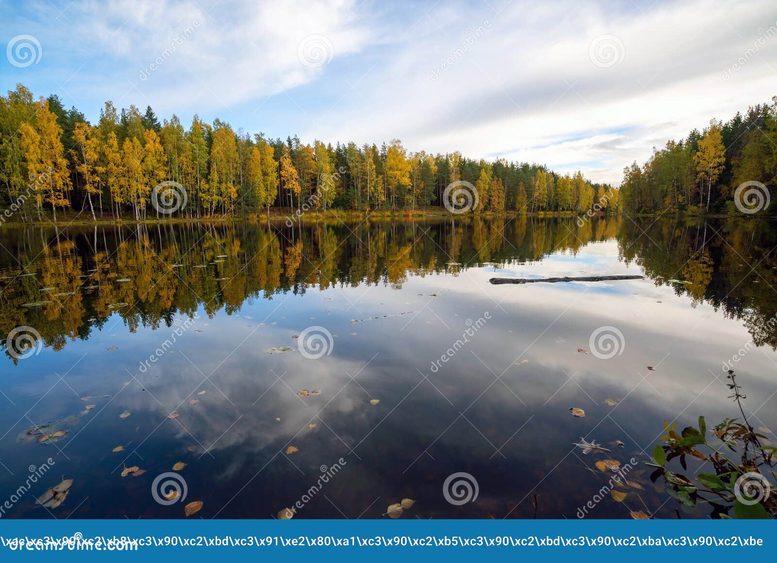 The Smooth Surface of the Lake Like a Mirror . Autumn Landscape Stock ...