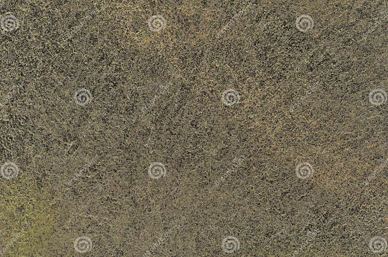 Smooth Surface with Natural Pattern of Brown Color. Digital ...