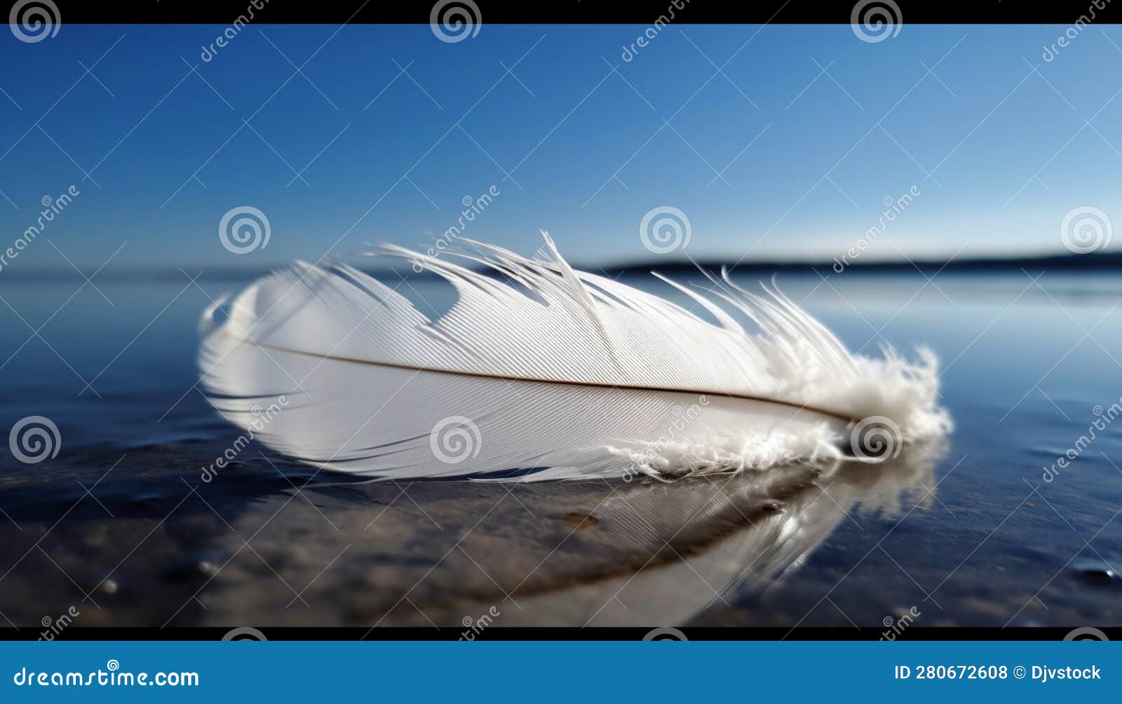 Smooth Swan Feather Flying Over Tranquil Blue Water Outdoors Generated ...
