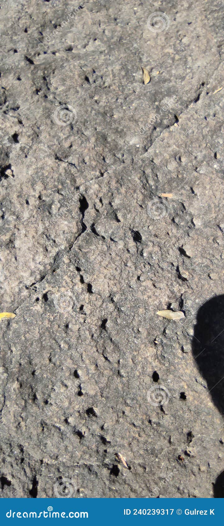 Smooth Tree Texture Background Stock Image - Image of closeup ...