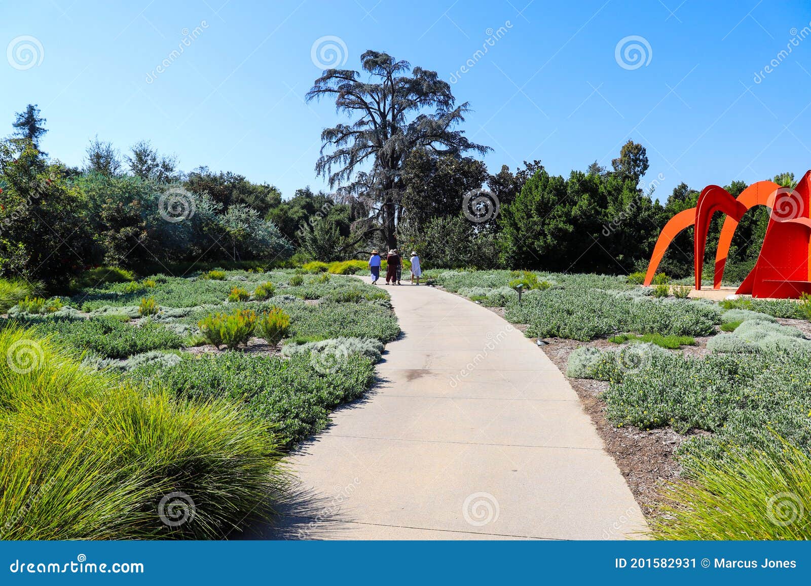 A Smooth Walking Path in the Park with People Walking Along the Path ...