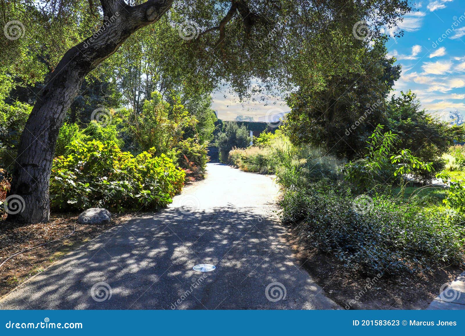 A Smooth Walking Path in the Park with People Walking Along the Path ...