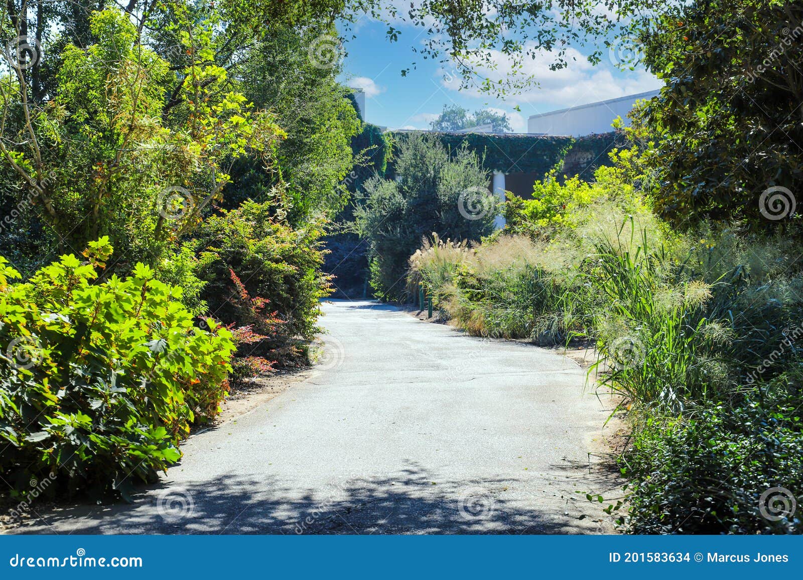 A Smooth Walking Path in the Park with People Walking Along the Path ...
