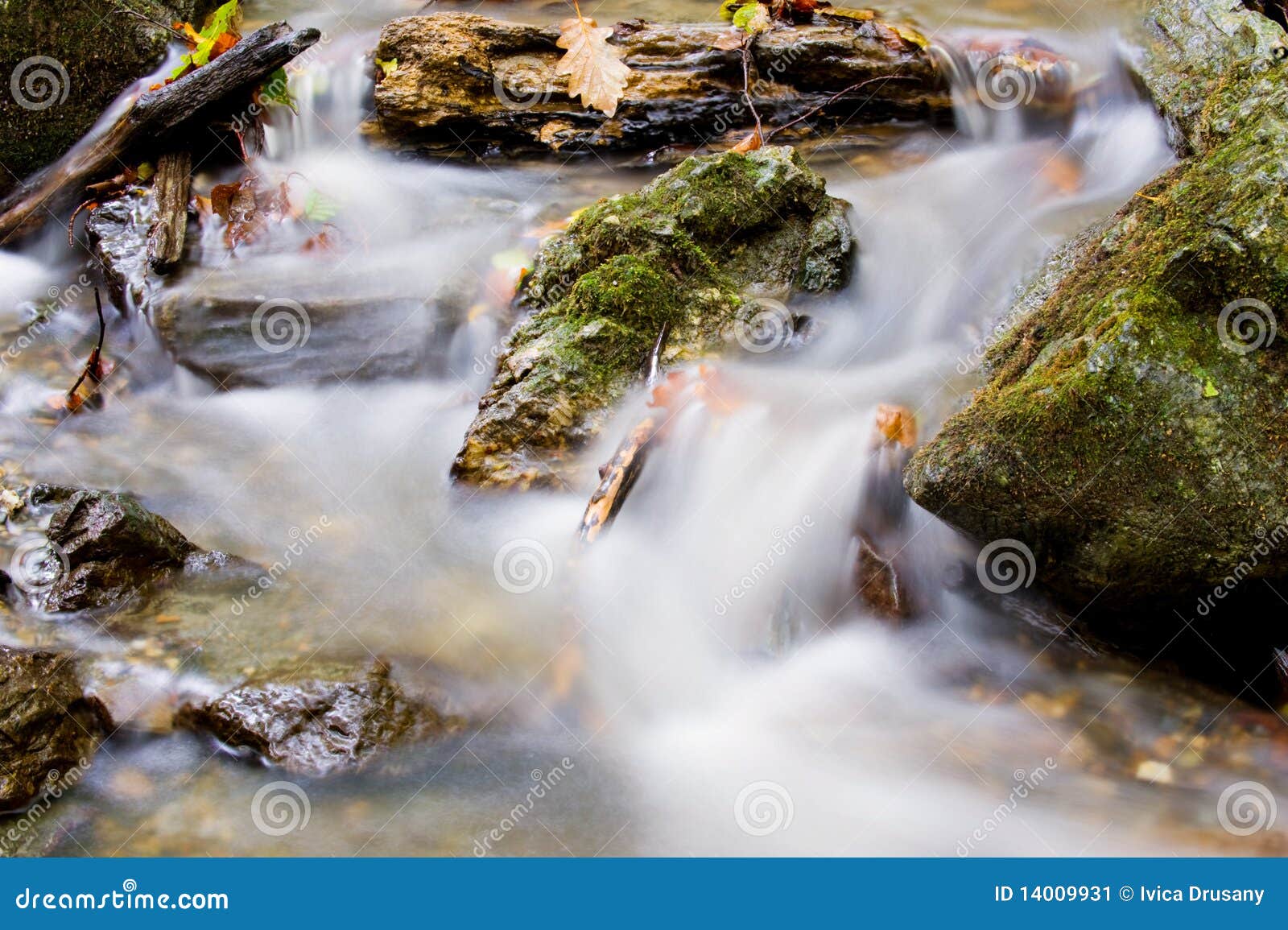 Smooth water stock image. Image of leaf, long, plant - 14009931