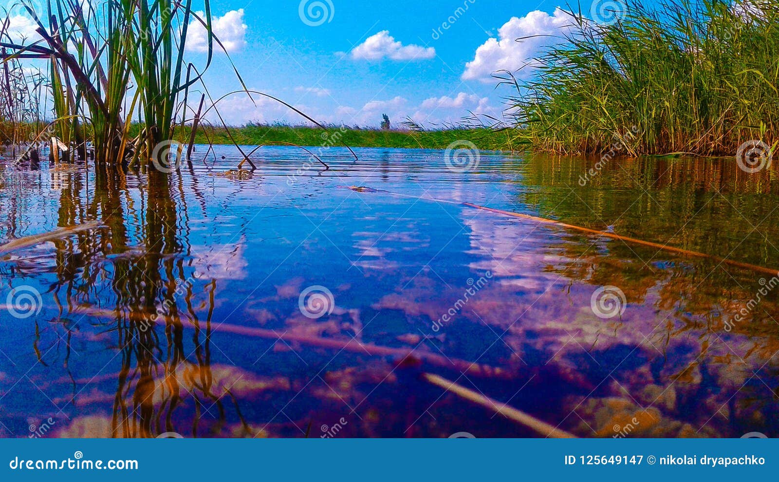 Smooth water stock image. Image of water, morning, smooth - 125649147