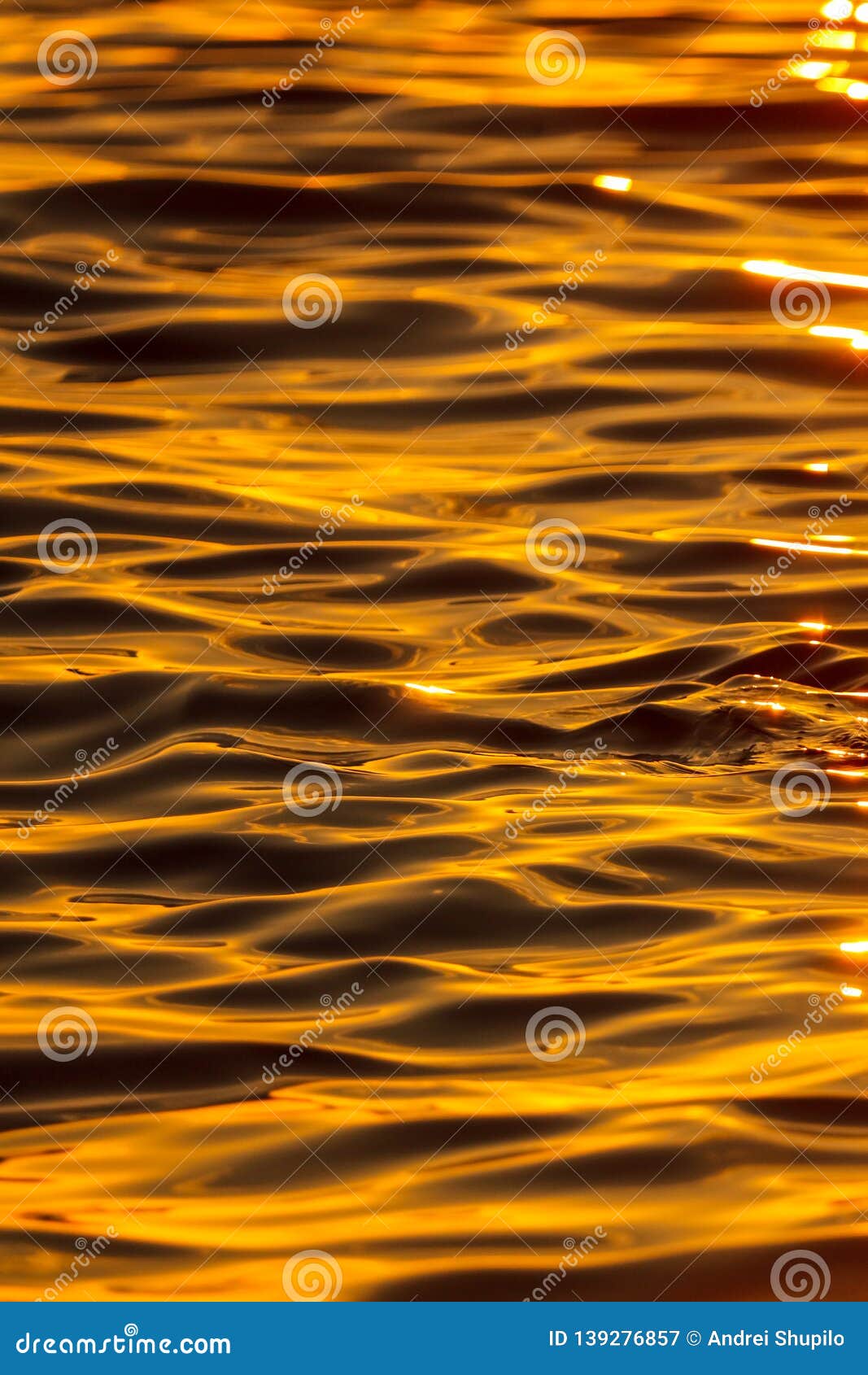 Smooth Water in the Sea in the Rays of Sunset Stock Image - Image of ...