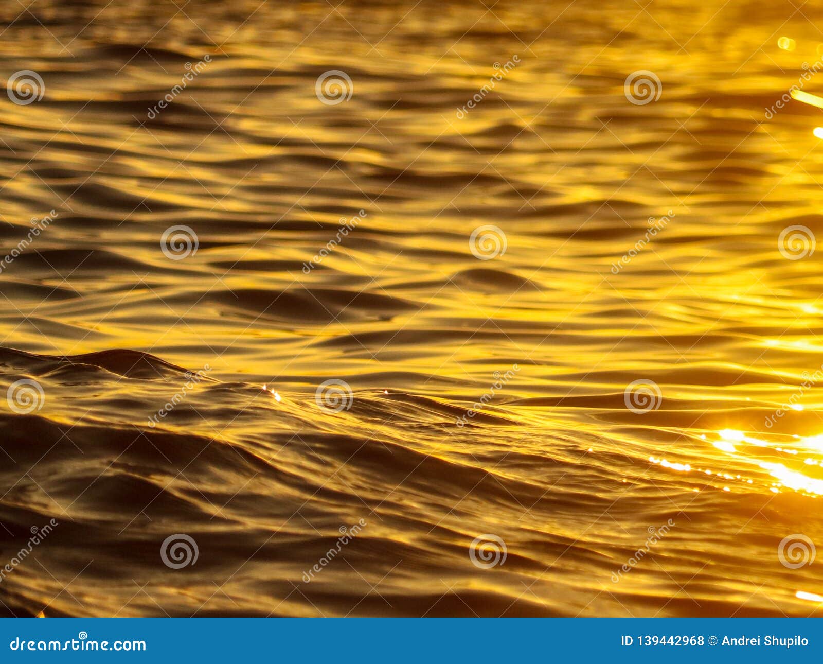Smooth Water in the Sea in the Rays of Sunset Stock Photo - Image of ...