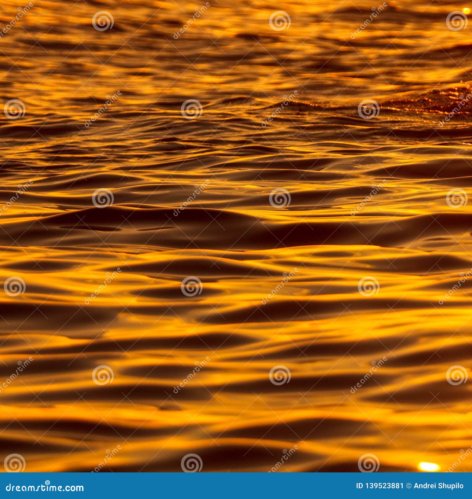 Smooth Water in the Sea in the Rays of Sunset Stock Image - Image of ...
