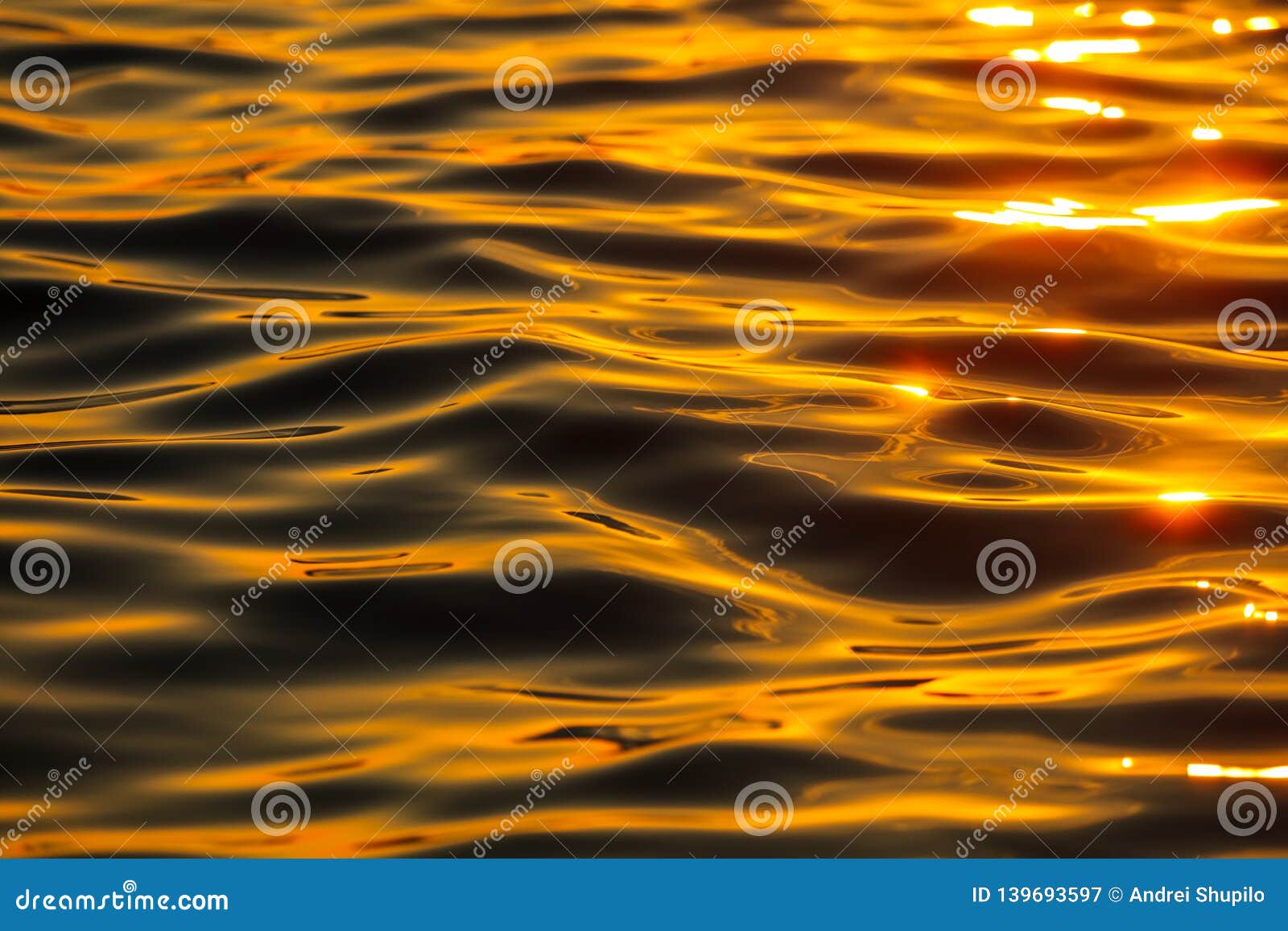 Smooth Water in the Sea in the Rays of Sunset Stock Image - Image of ...