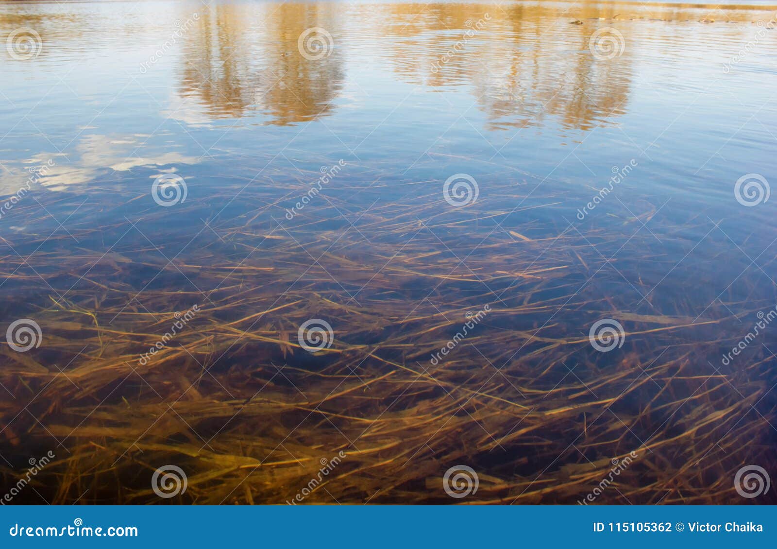 Smooth Water Surface with Reflections Stock Photo - Image of beauty ...