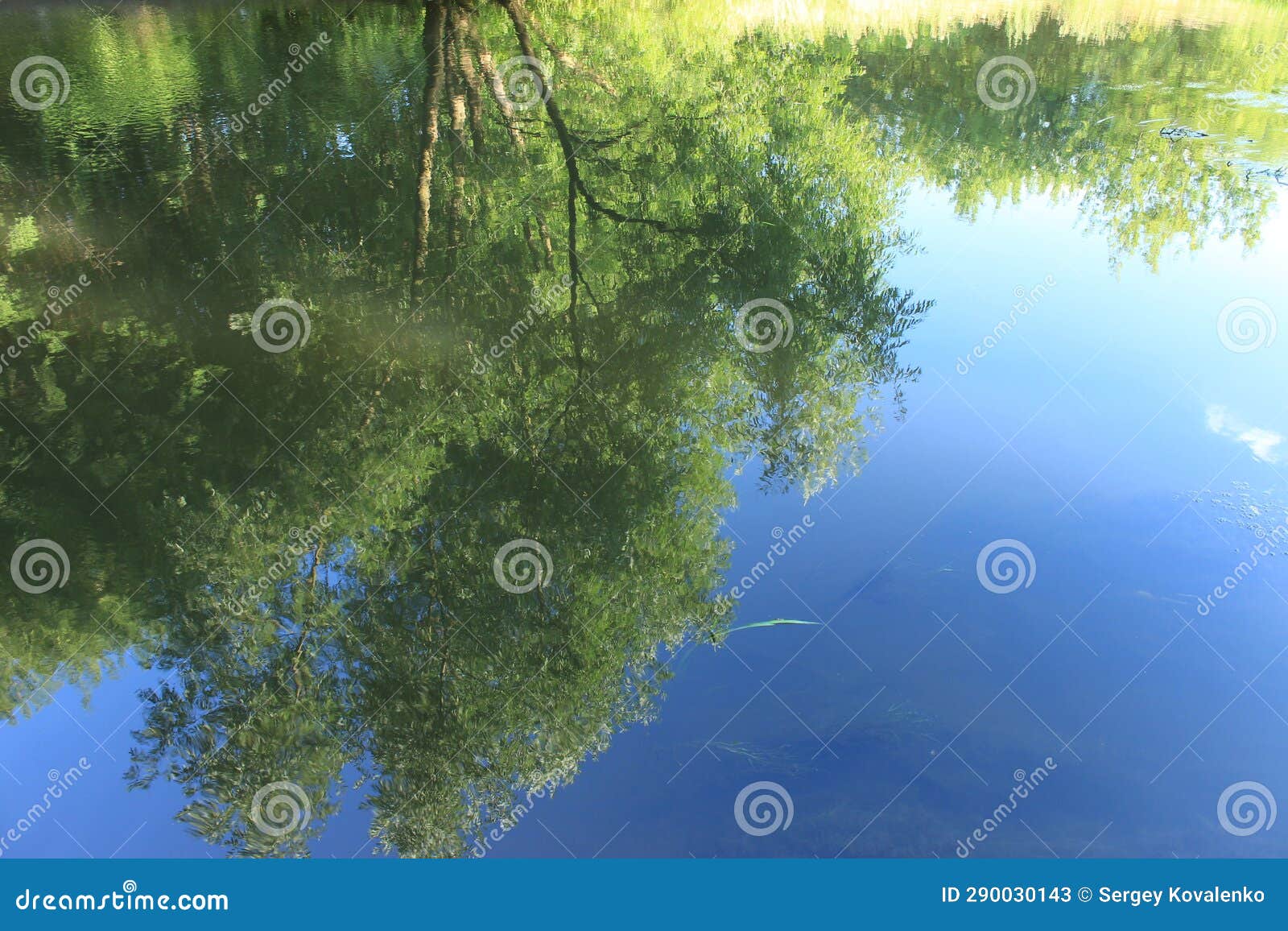 Reflection on the Water Surface. Russia. Stock Image - Image of wetland, green: 290030143