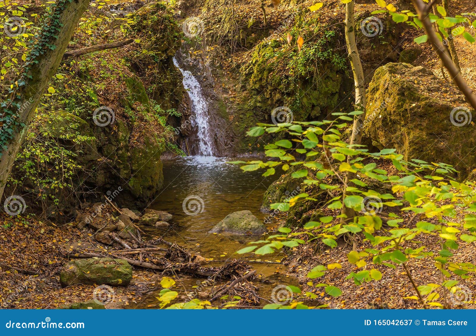 Smooth Waterfall in the Forest on Mountain Stock Image - Image of moss ...