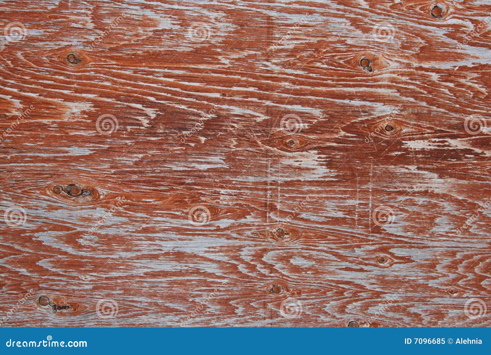 Smooth Wood Texture Stock Photography | CartoonDealer.com #6011192