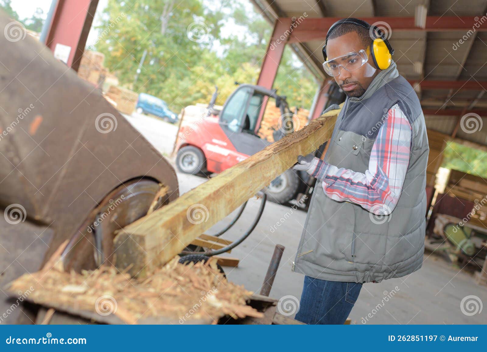 He smoothing lumber stock image. Image of logging, preparation - 262851197