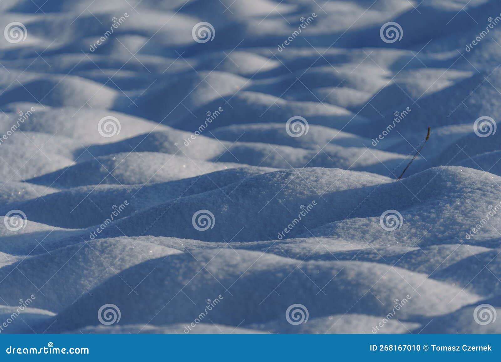 Smoothly Undulating, White Surface of Frozen Snow Stock Photo - Image ...
