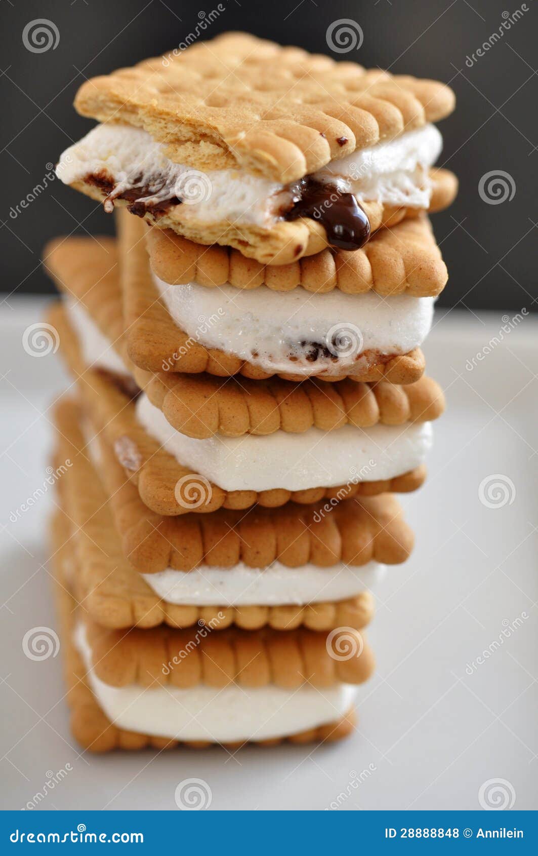 Smore Cookies stock photo. Image of chocolate, dessert - 28888848