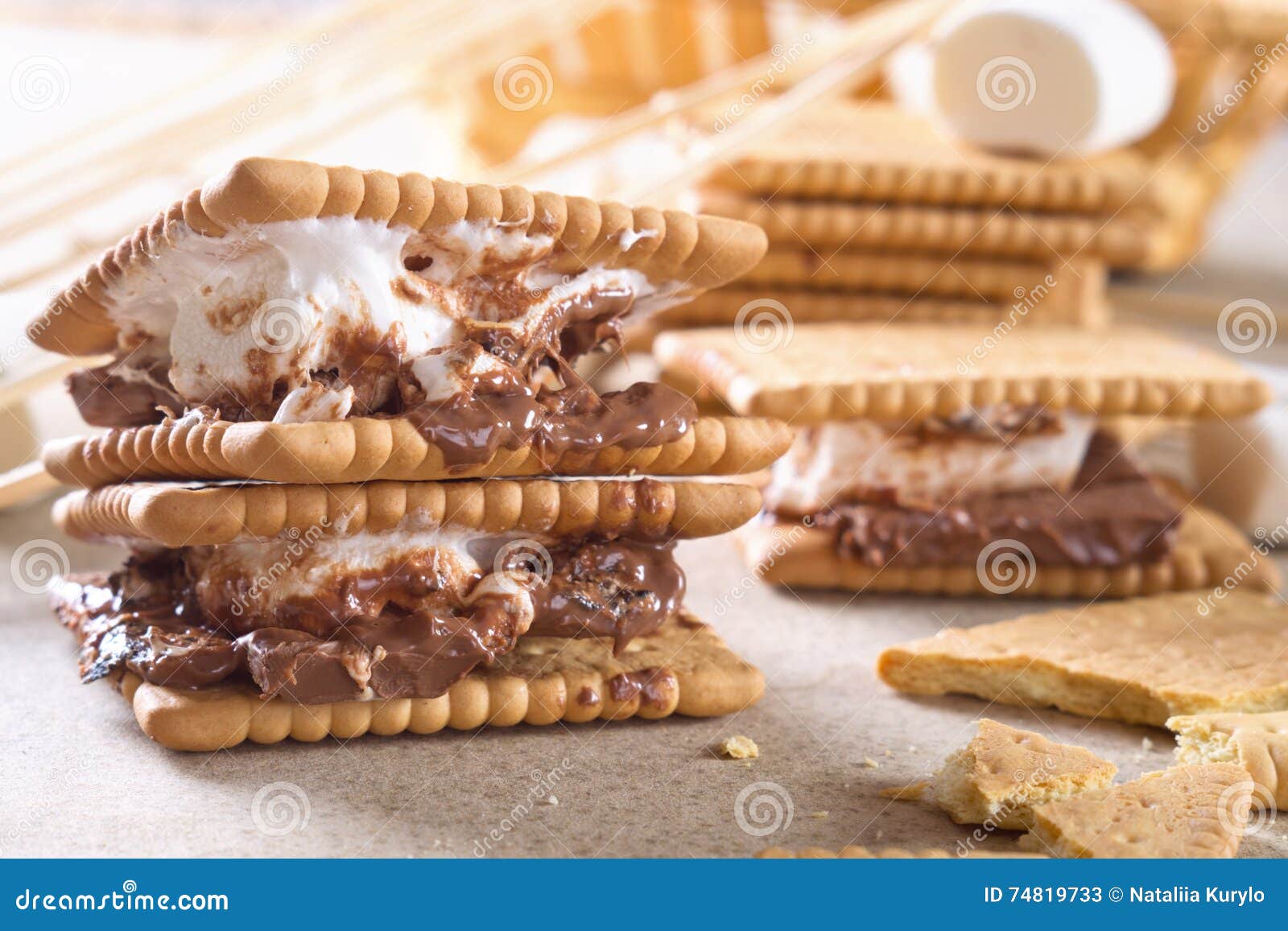 Smores imagen de archivo. Imagen de fuego, derretimiento - 74819733