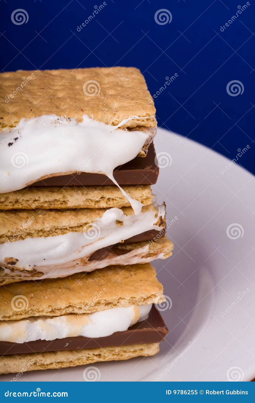 Smores stock image. Image of snack, chocolate, treat, sandwich - 9786255