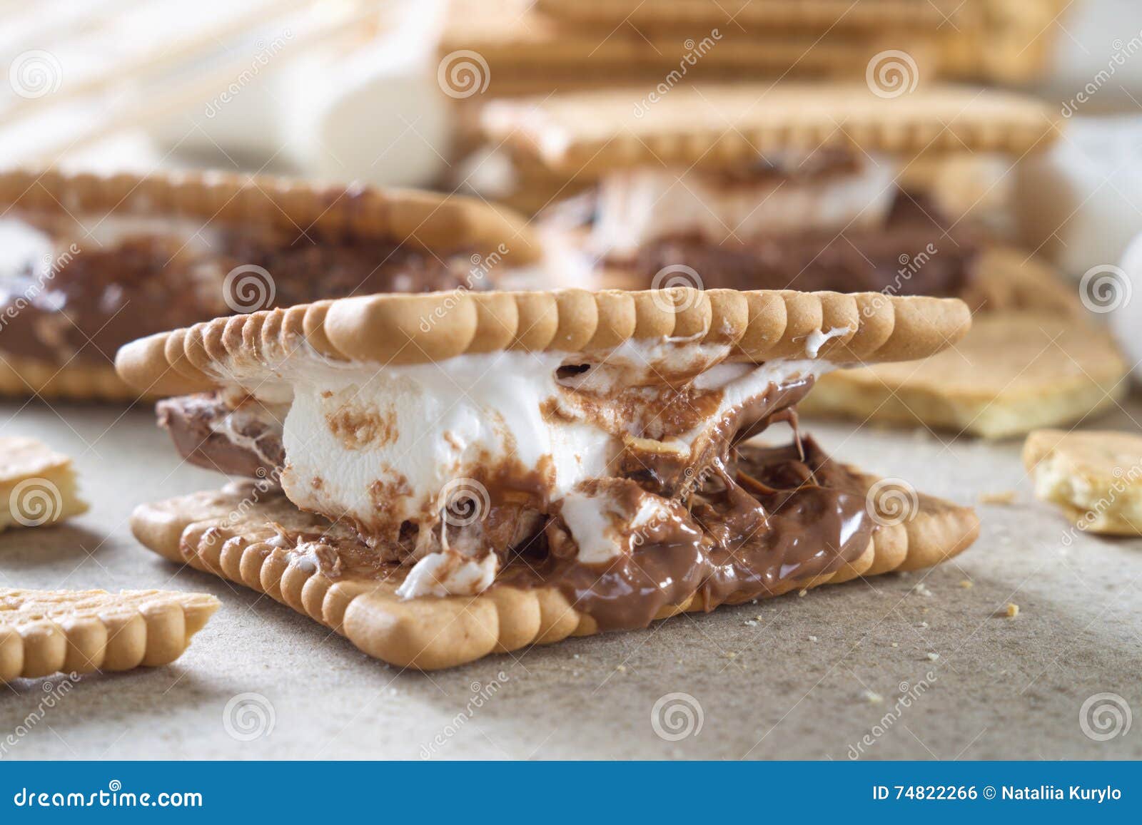 Smores stock photo. Image of eating, crispy, gooey, dessert - 74822266