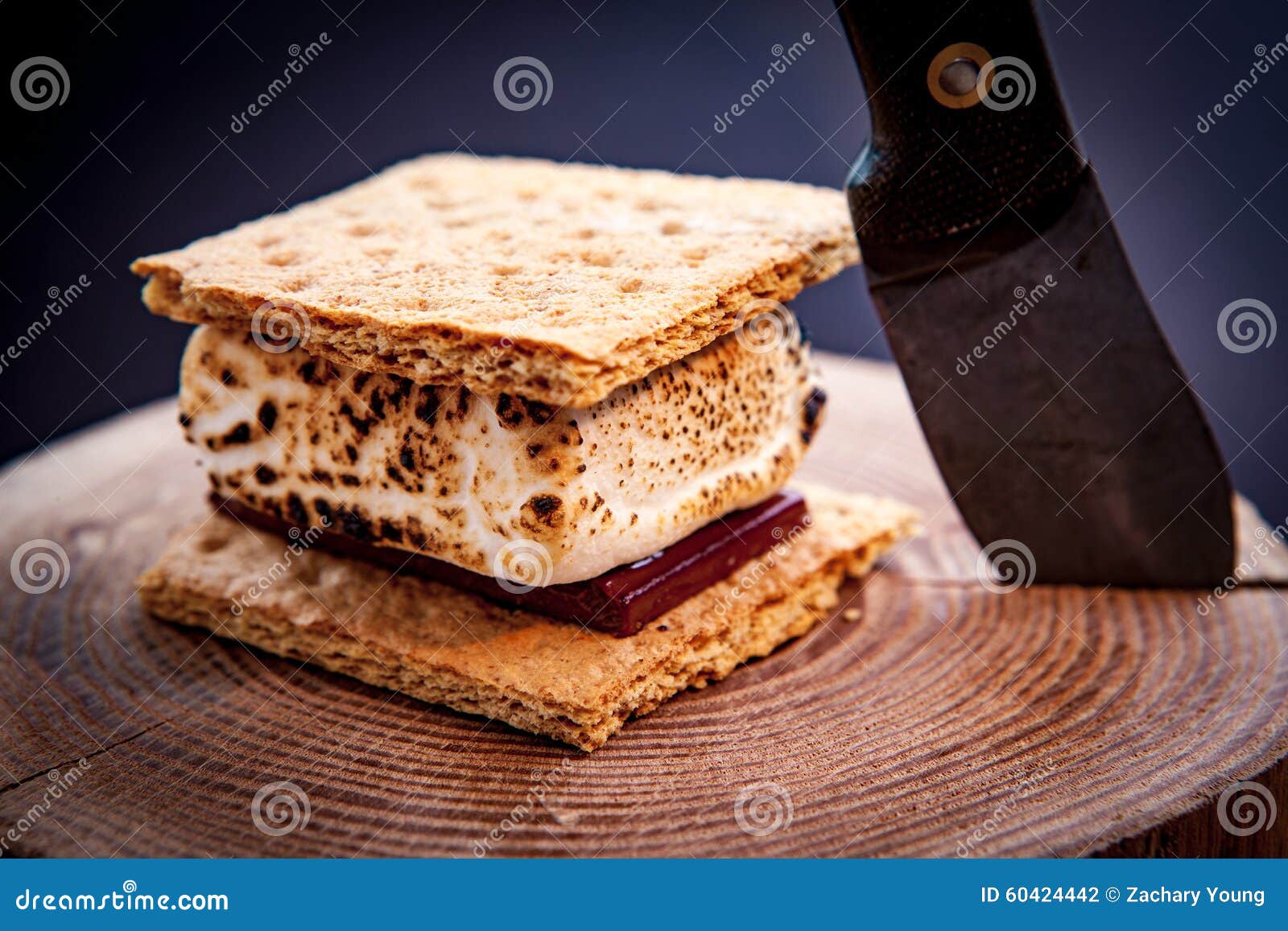 Smores on a log stock photo. Image of marshmallow, sweet - 60424442