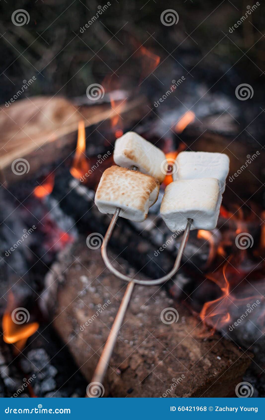 Smores over a fire stock photo. Image of camping, vacations - 60421968