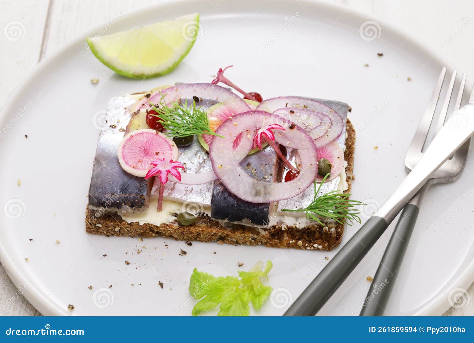 Smorrebrod Danish Sandwich With Salmon Fish Royalty-Free Stock ...