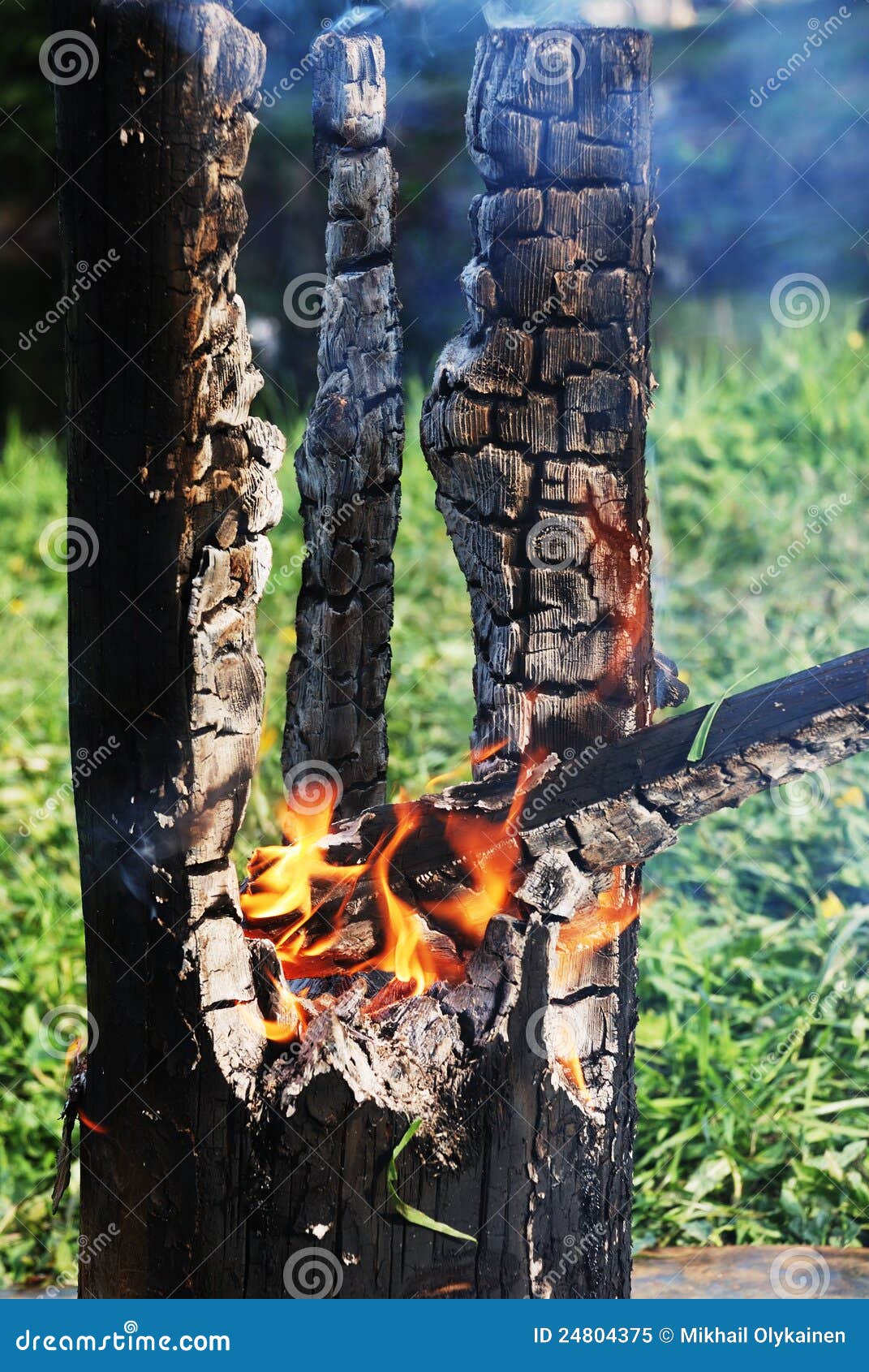 Smouldering Tree Trunk Burned Stock Image - Image of trunk, fire: 24804375