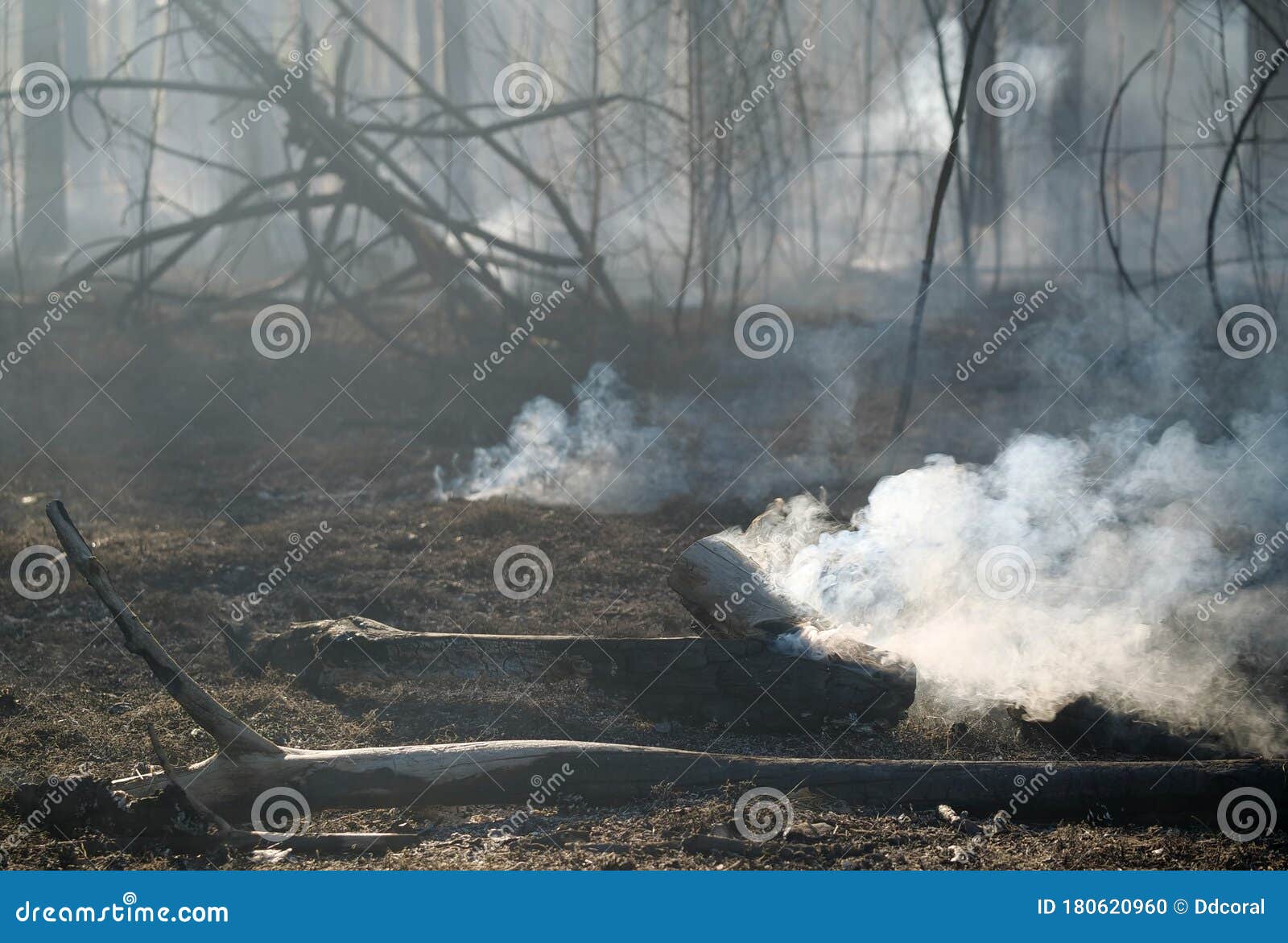 Smouldering of Wood after Fire in Wood Stock Photo - Image of flare ...