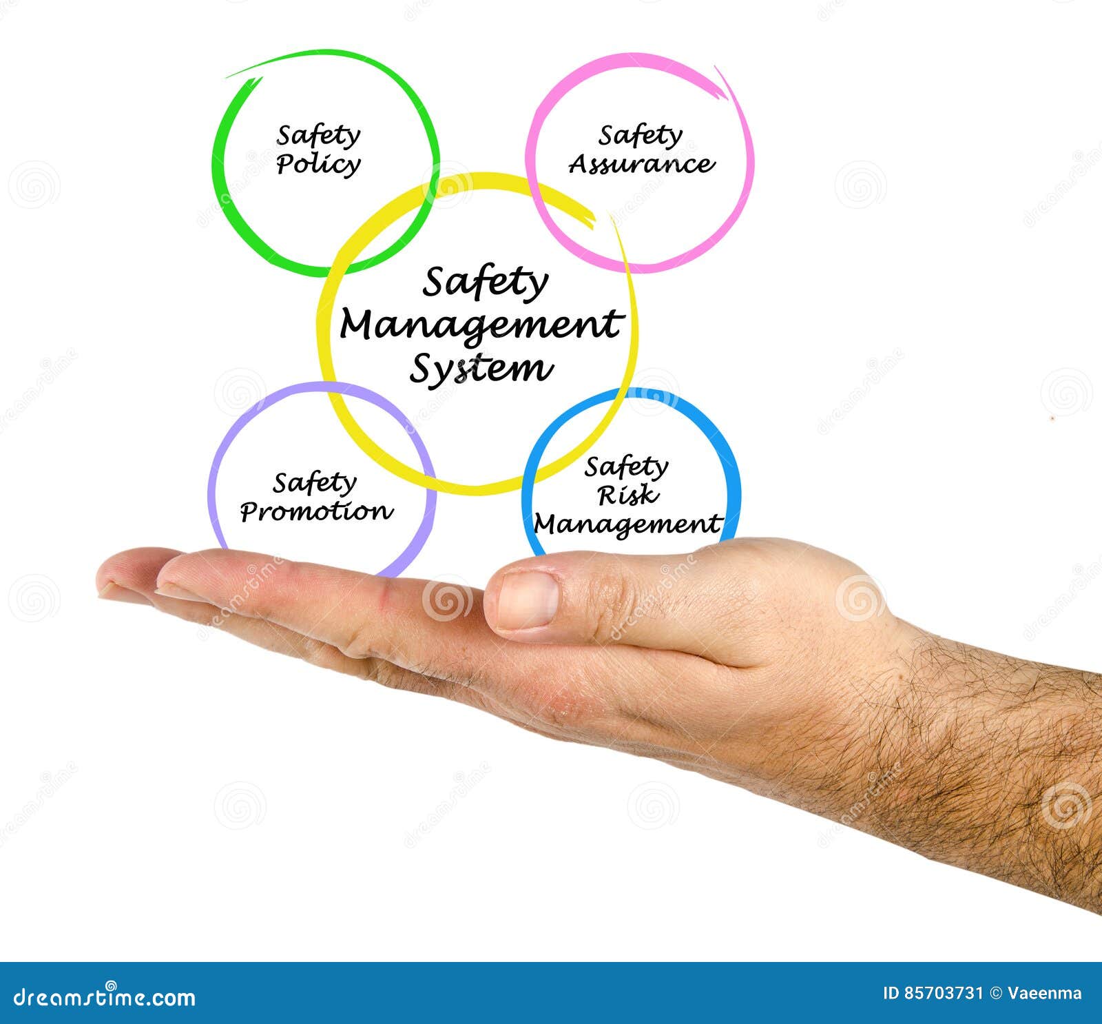 Diagram Of Safety Management Stock Image | CartoonDealer.com #85617481