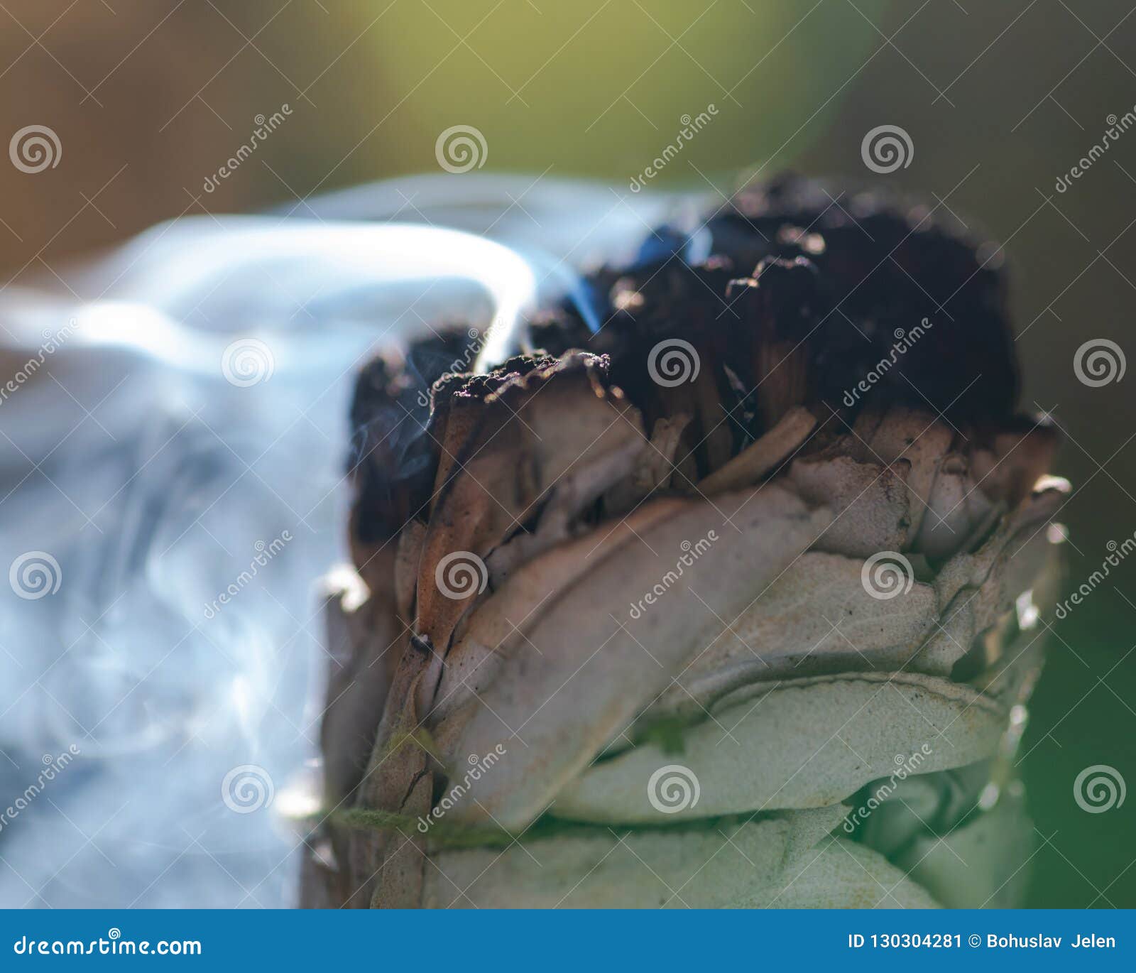 Smudging Ritual Using Burning Thick Leafy Bundle of White Sage in ...