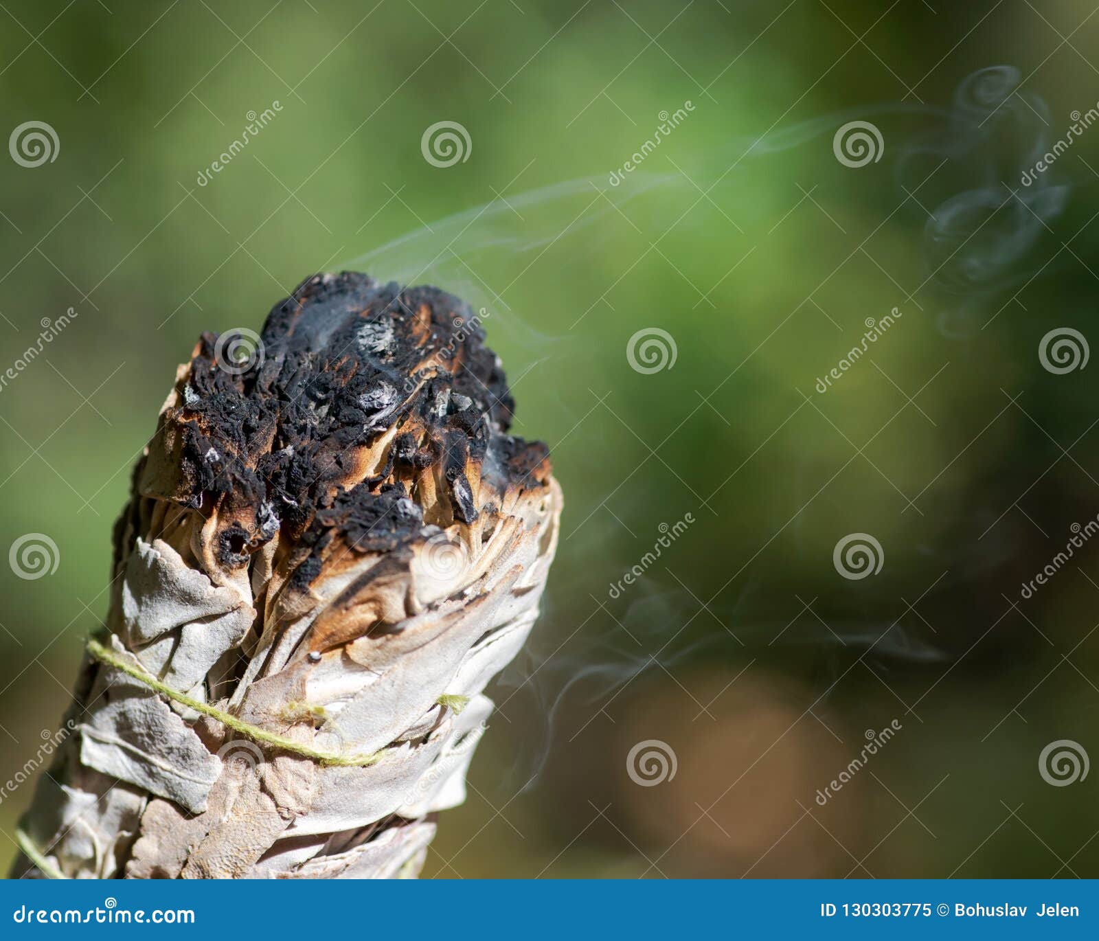 Smudging Ritual Using Burning Thick Leafy Bundle of White Sage in ...