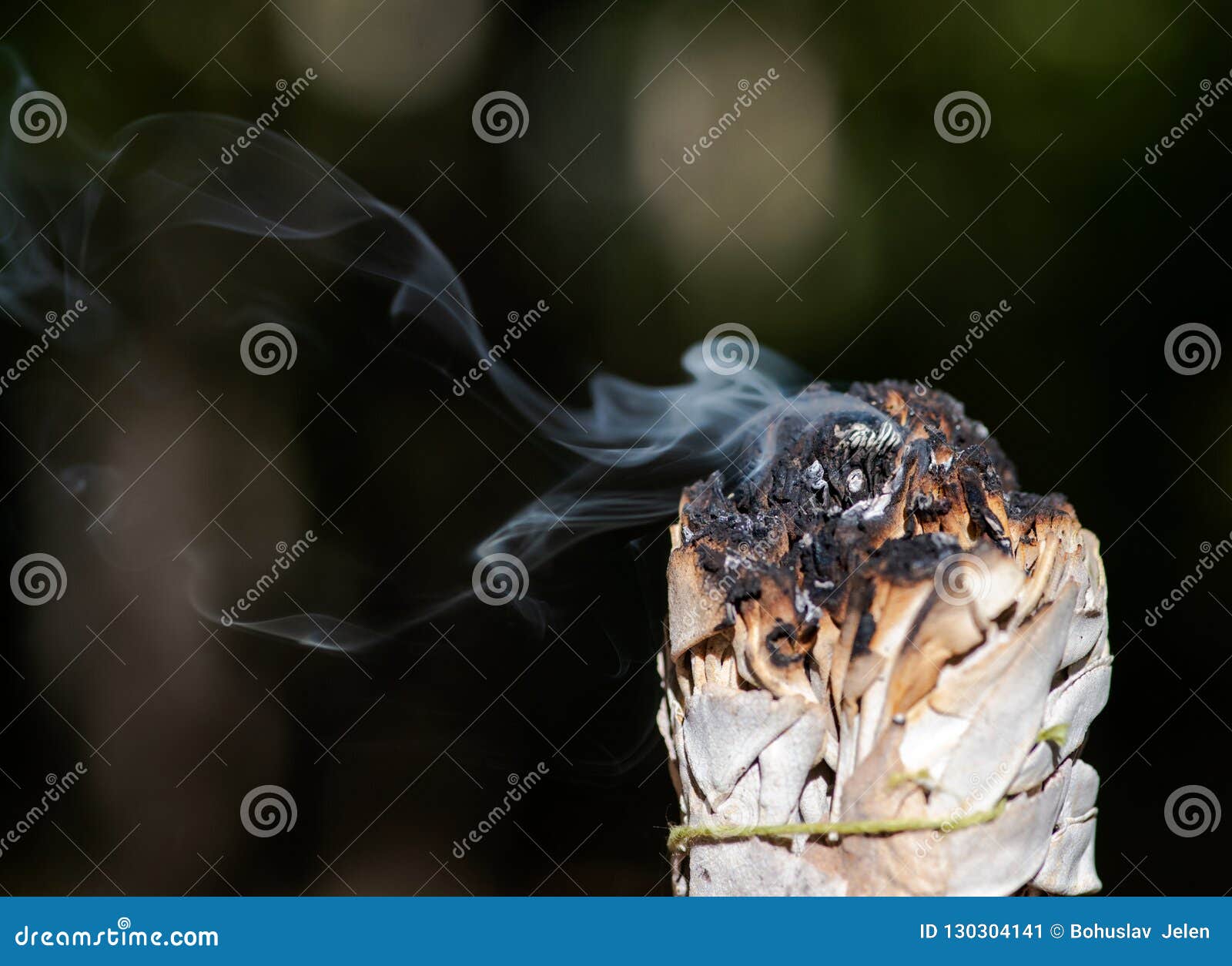 Smudging Ritual Using Burning Thick Leafy Bundle of White Sage in ...