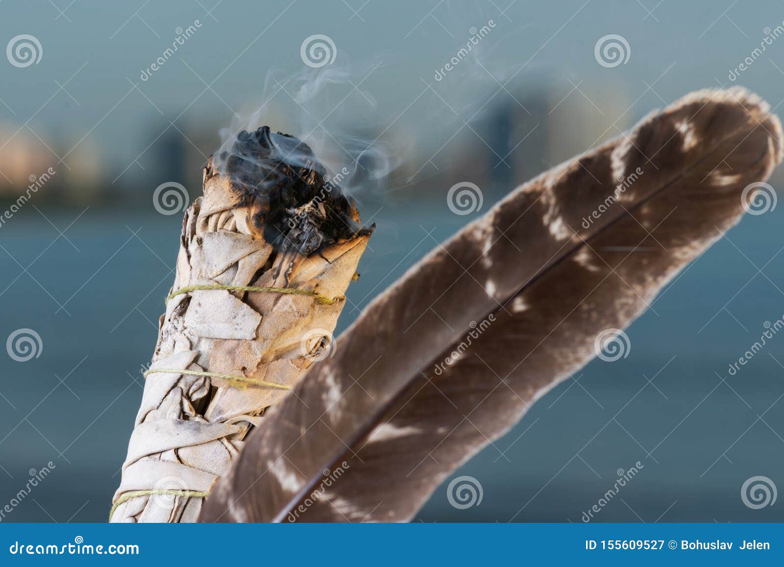 Smudging Ritual Using Burning Thick Leafy Bundle of White Sage Grade a ...