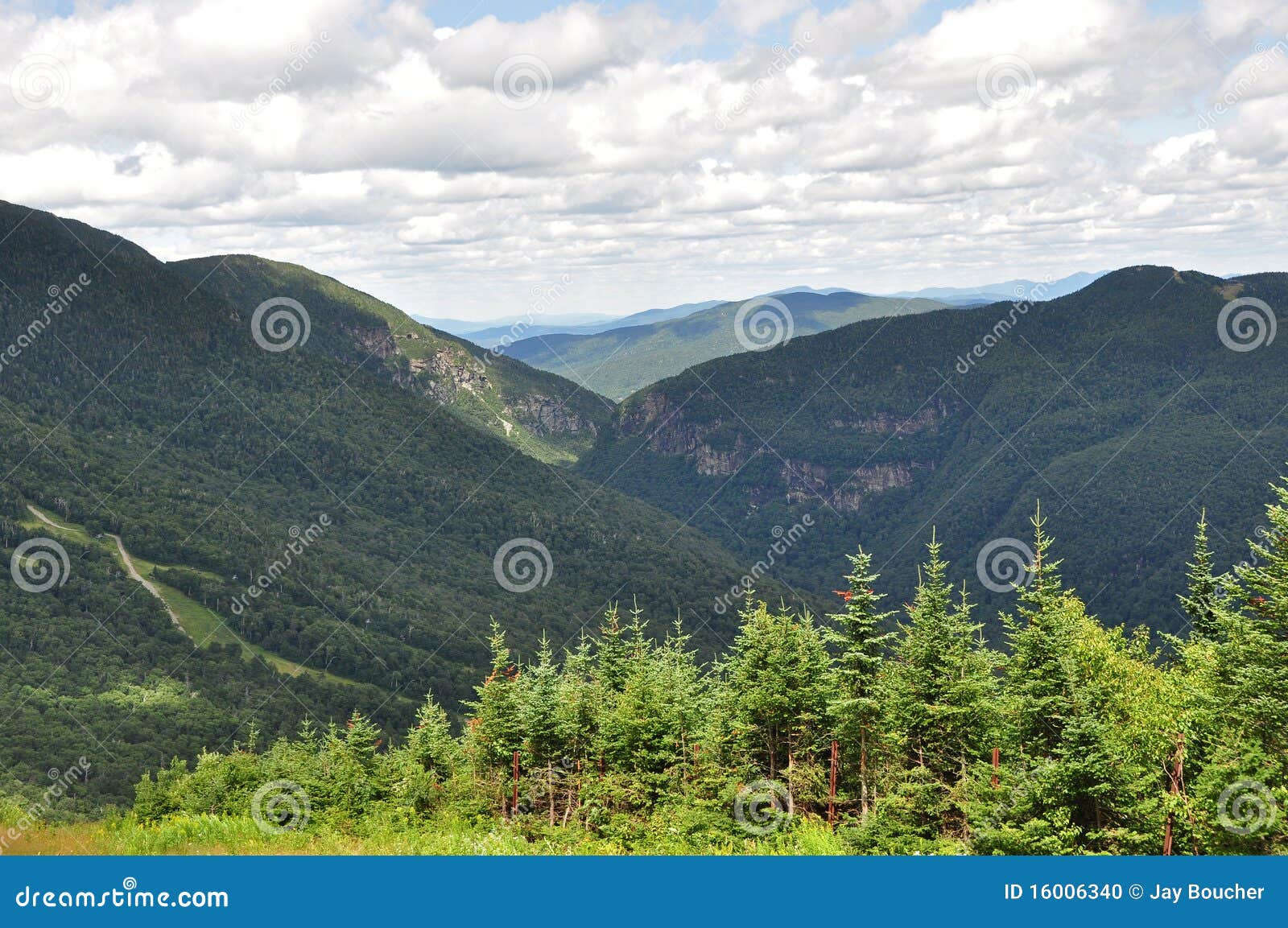 Smugglers Notch stock photo. Image of pine, trees, trails - 16006340