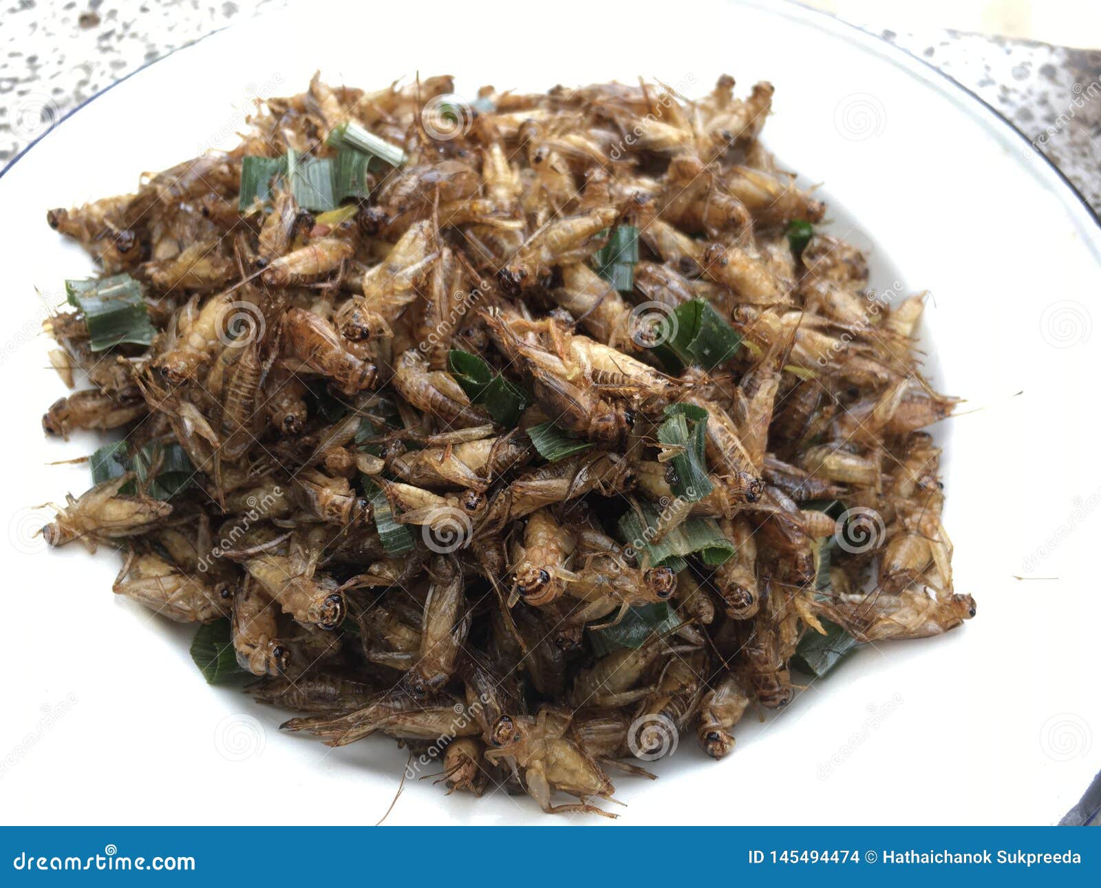 Snack bug food stock photo. Image of food, achita, thai - 145494474