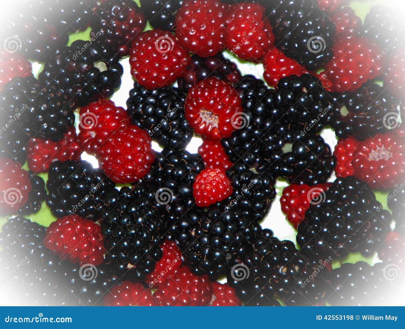 Snack stock photo. Image of berries, rasberry, blackberry - 42553198