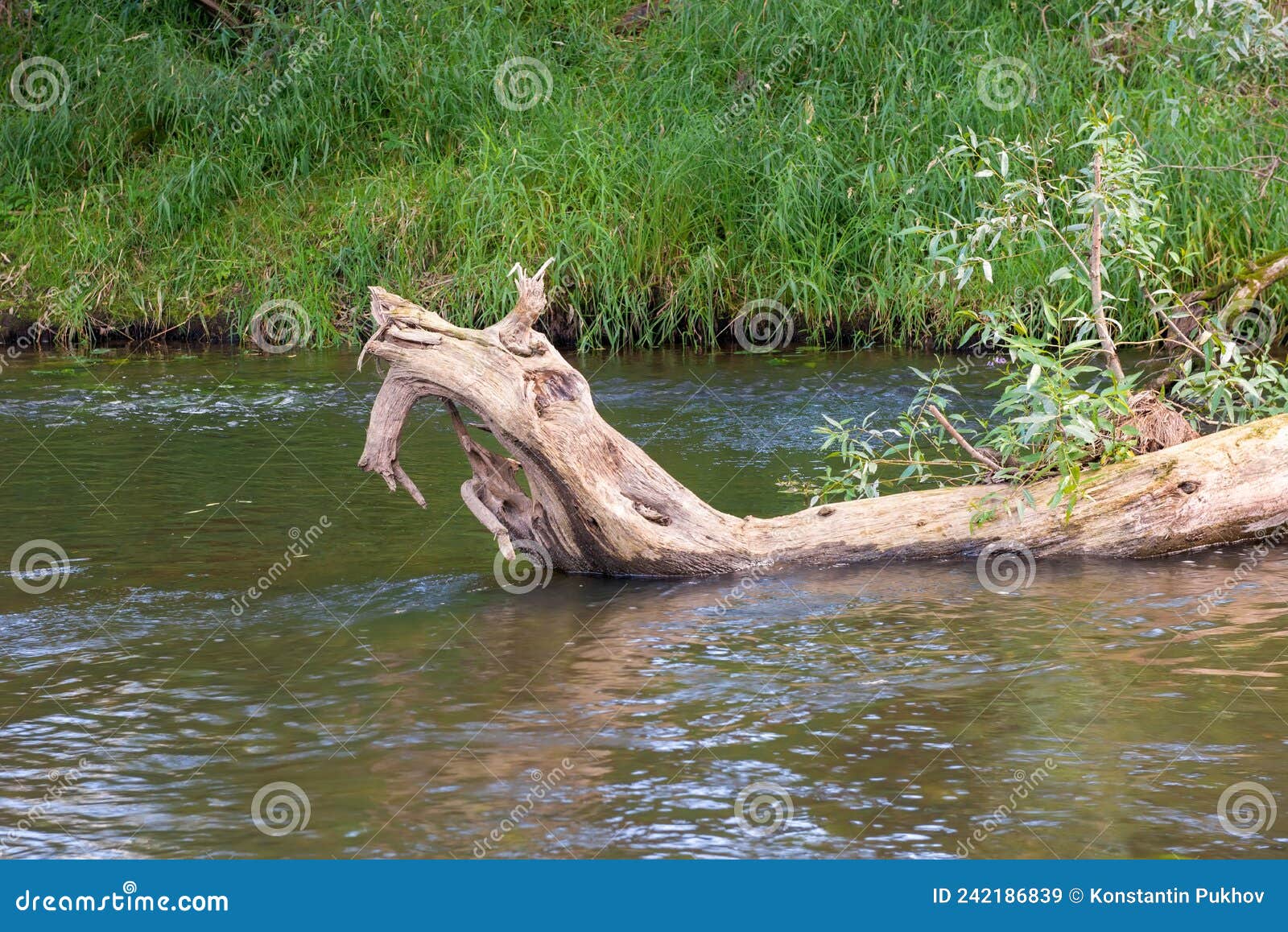 Snake Creek Canal Stock Photos - Free & Royalty-Free Stock Photos from ...