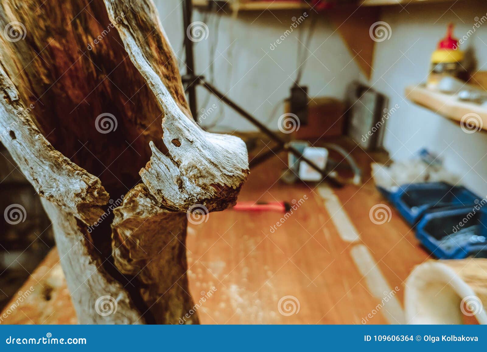 Snag from a tree stock photo. Image of mountains, procreation - 109606364