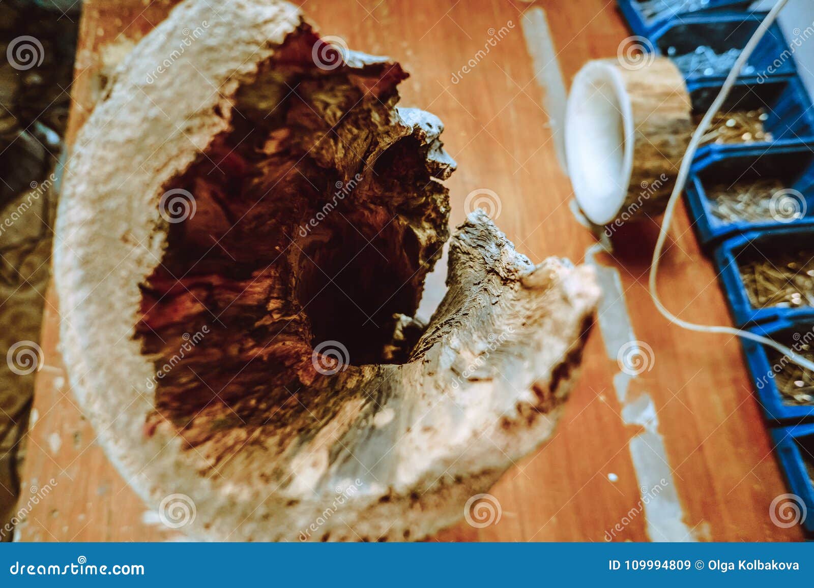 Snag from a tree stock image. Image of cascade, behavior - 109994809