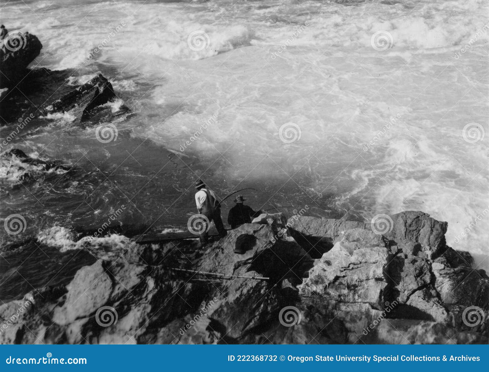Snagging For Chinook Salmon Picture. Image: 222368732