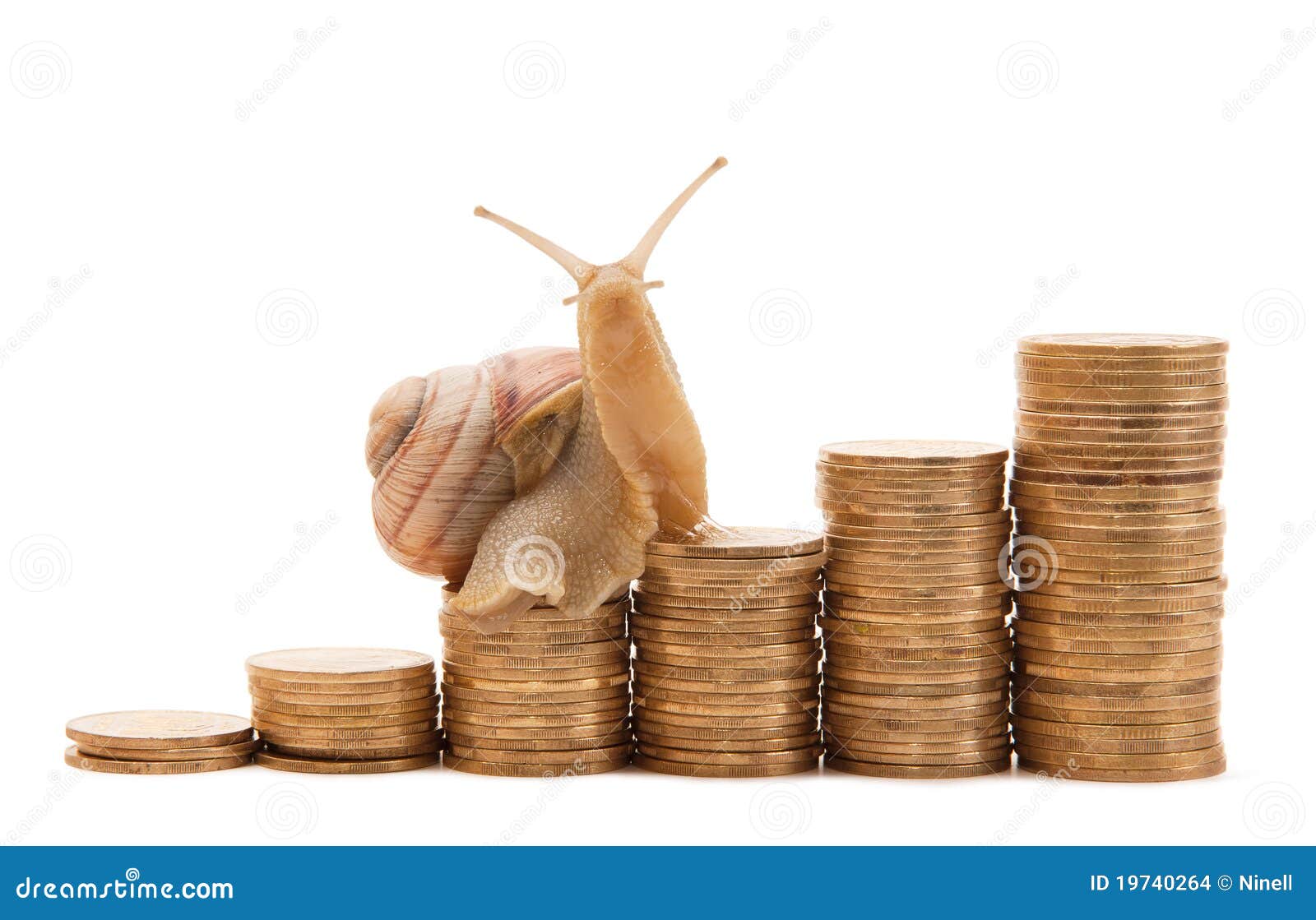 132 Coin Snail Stock Photos - Free & Royalty-Free Stock Photos from ...