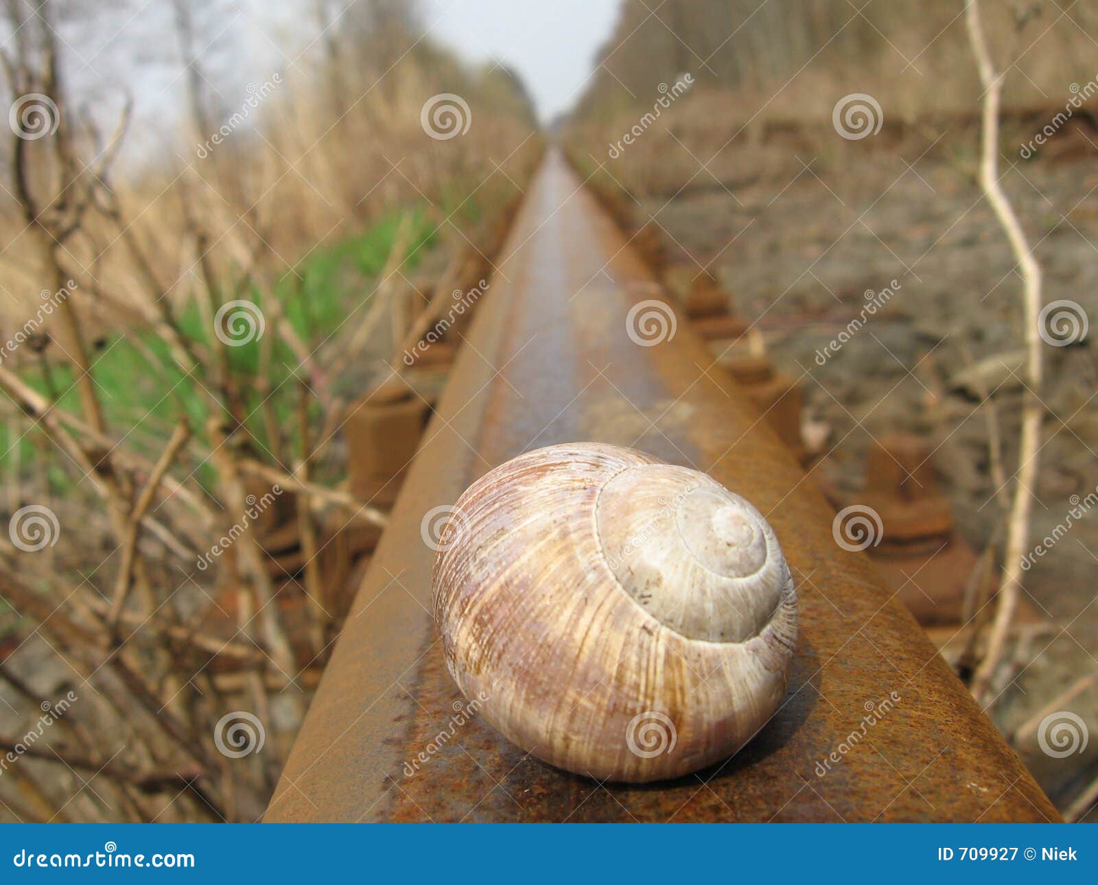 102 Snail Train Stock Photos - Free & Royalty-Free Stock Photos from ...